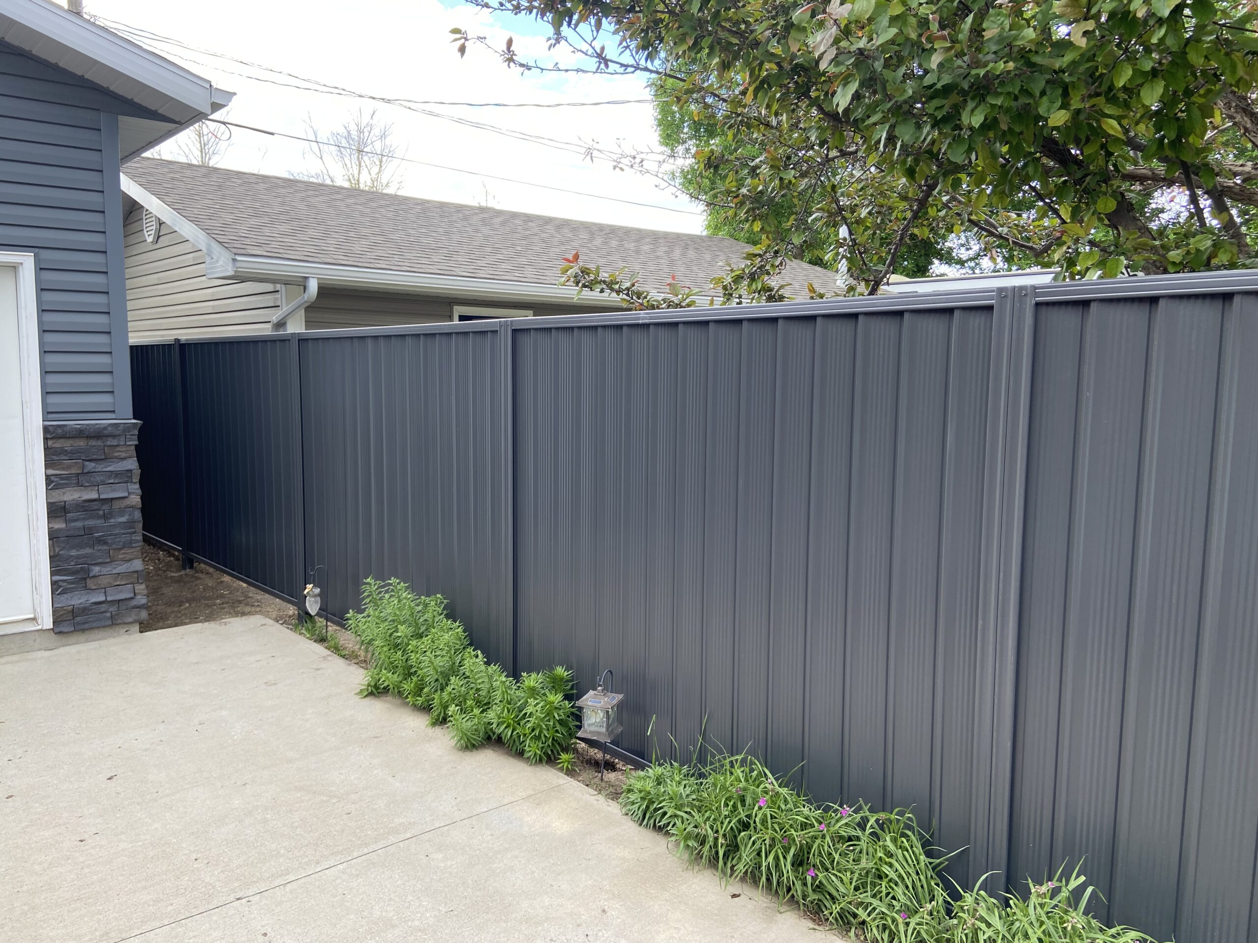 ColorMAX - STRICTLY FENCES